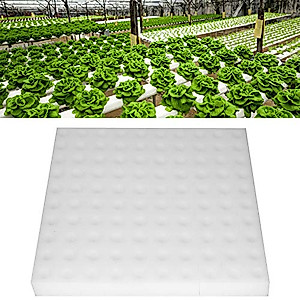 100Pcs Hydroponic Sponge Planting Tool Square Sponges for Greenhouse Hydroponic Sponge
