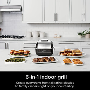 Ninja EG201 Foodi 6-in-1 Indoor Grill with Air Fry, Roast, Bake, Broil, & Dehydrate, 2nd Generation, Black/Silver (Renewed)