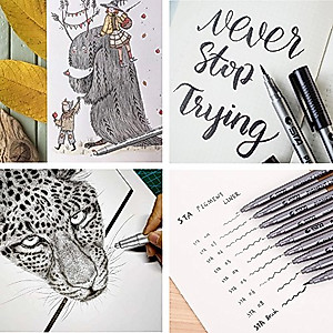 Set of 10 Black Micro-Pen Fineliner Ink Pens - Waterproof Archival ink Micro Fine Point Liner Pen, Multiliner - Sketching, Anime, Artist Illustration, Technical Drawing, Office Documents, Scrapbooking