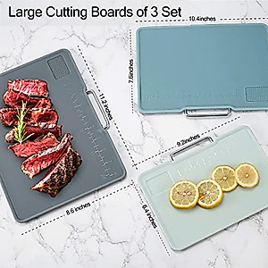 Domonic Home Cutting Board Set, Cutting Boards for Kitchen Dishwasher Safe, Plastic Cutting Board with Holder, Chopping Board with Juice Grooves, Non-Slip
