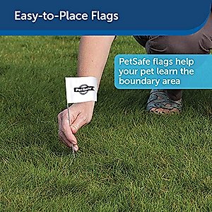 PetSafe Boundary Flags (Bundle of 50), For Use with PetSafe's Dog and Cat In-Ground Fences and Wireless Fences - From the Parent Company of INVISIBLE FENCE Brand, White, 3"x2.5" flags