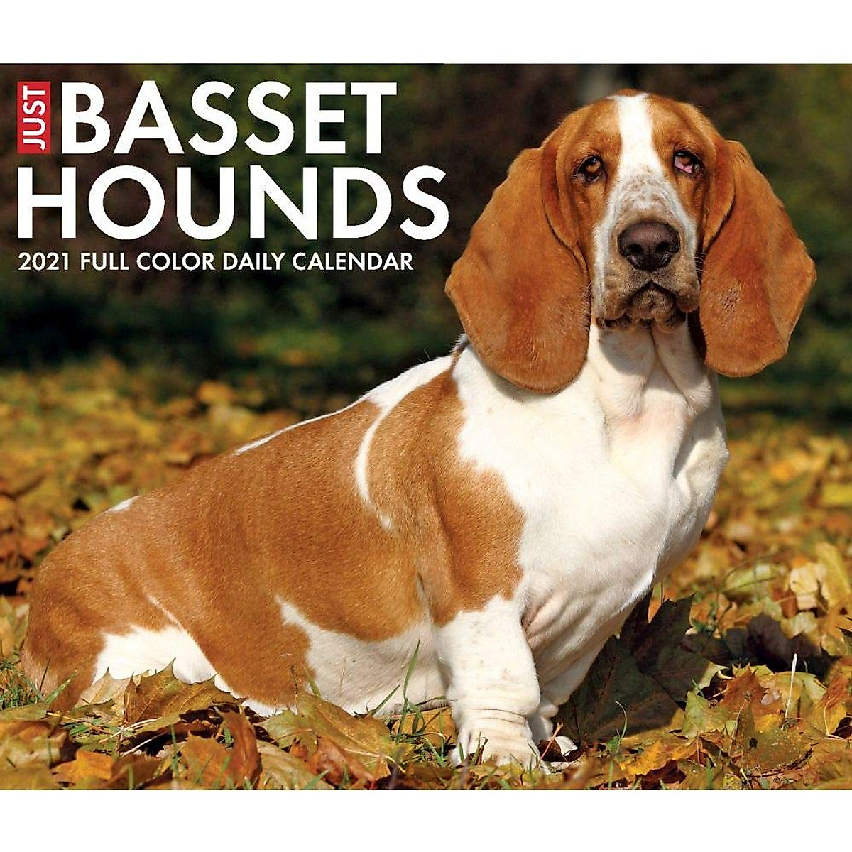 Just Basset Hounds 2021 Box Calendar (Dog Breed Calendar)
