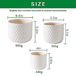 Docrin Ceramic Plant Pots Indoor: 6.5+5.3+4 Inch Planters with Drainage Holes for Home/Office - Set of 3 / White Honeycomb