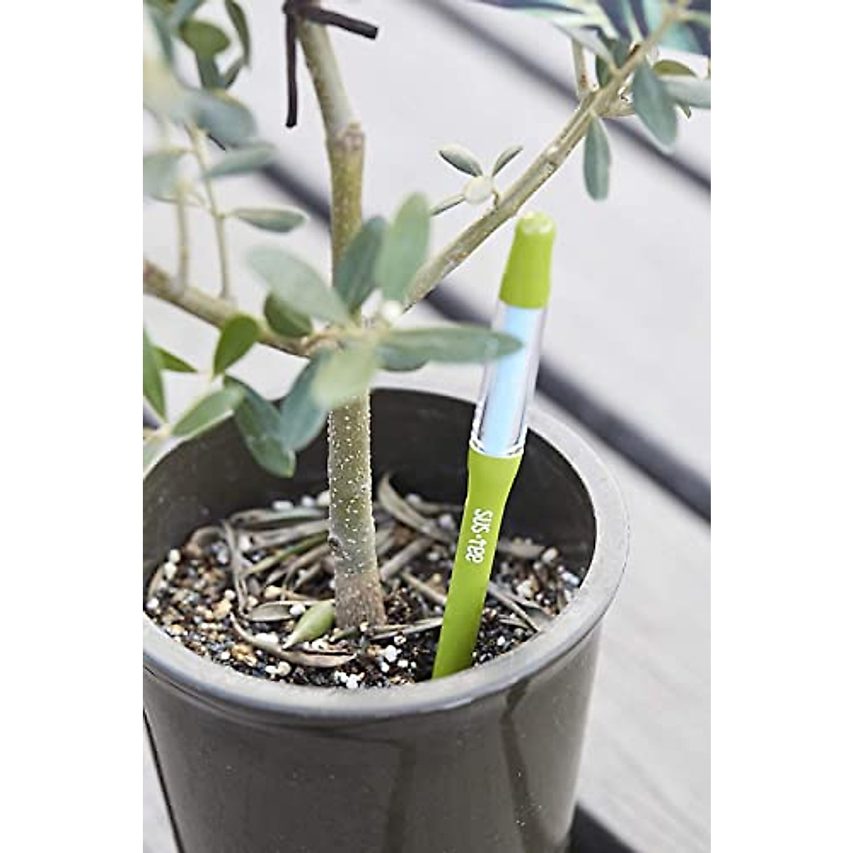 Sustee Aquameter (2 Green, Medium) - Plant Soil Moisture Meter, Monitor, Probe, Indicator - Best for Potted Plants - Package of 2 Sensors