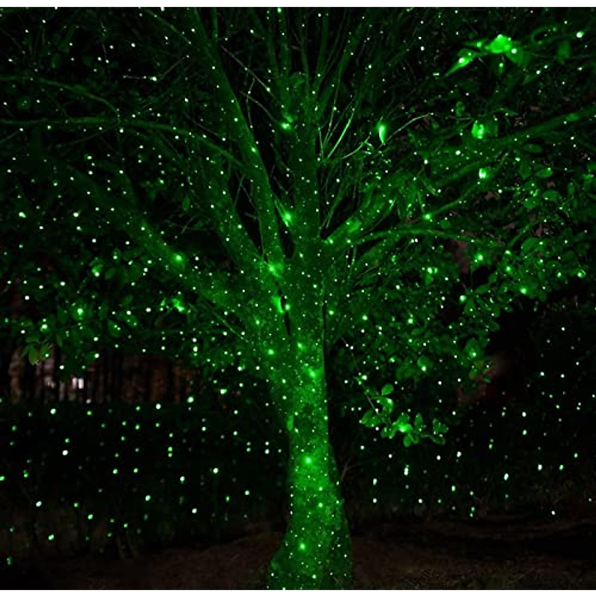 Ledmall Moving Firefly Red and Green Remote Control Laser Christmas Lights, Party, Events, Garden, Decoration, and Landscape Lights