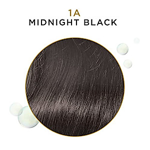 Clairol Professional Beautiful Advanced Gray Solutions 1a Midnight Black, 3 oz