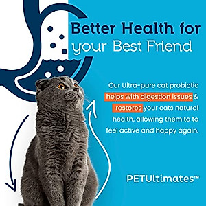 Pet Ultimates Probiotics for Cats – 20-Species Cat Probiotic Powder to Treat Diarrhea, Vomiting, Digestive Support & Cat Antibiotics Recovery – Skin and Coat Supplement for Cats Enhances Vitality– Cat Health Supplies (44 gr)
