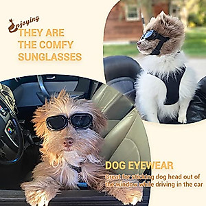 Enjoying Dog Sunglasses Small Breed Dogs Goggles UV Protection Eye Wear Windproof Anti-Fog Pet Glasses for Doggy About Over 5 lbs, Black