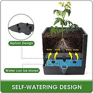 MQFORU 2 Packs Tomato Planter with Trellis, 57" Raised Garden Bed Planters Box for Climbing Vegetables Plant, Self Watering Tomato Cages for Garden Pots for Patio Greenhouse Indoor Outdoor（2PCS）