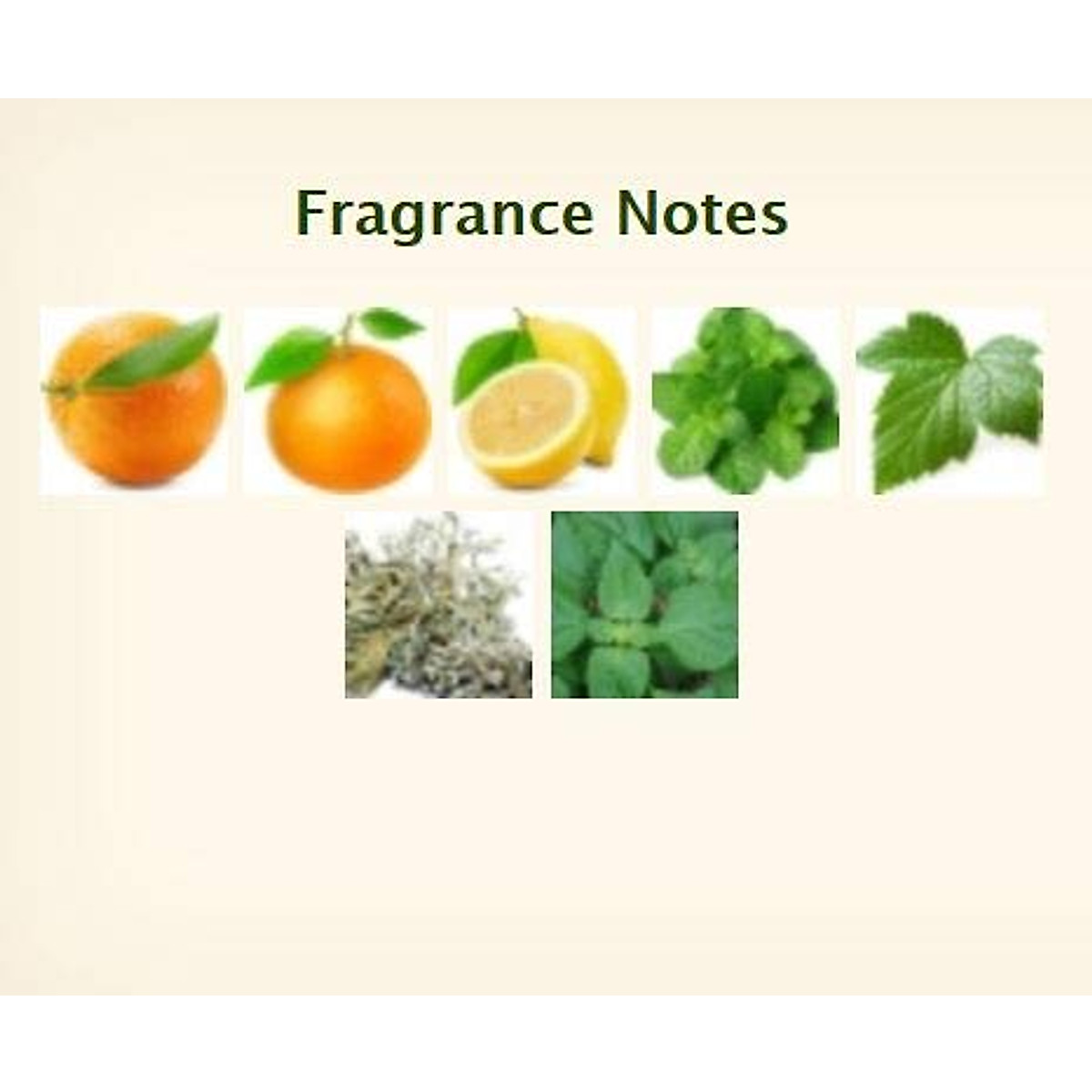 Hermès Eau d'Orange Verte Luxury Shampoo with D-Pantenol Vitamins in Bubble Bag - Set of 4 X 1.35 Ounce/40 ML Bottles, Total 5.4 Ounce/160 ML from Hermes Paris