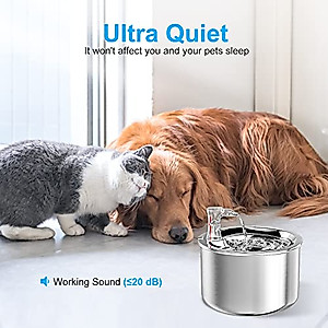 Heroange Cat Water Fountain Stainless Steel, 68oz/2L Ultra Quiet Pet Water Fountain for Cats Inside, Automatic Pet Drinking Fountain with Filters, Dog Water Dispenser Bowl Dishwasher Safe