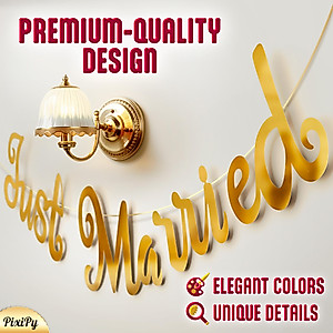 Wedding Decorations Set (Gold), Bridal Shower Decoration w/ Just Married Banner, Party Bunting Banner, 10 Tassels Garland & 6 Paper Fans, Wedding Reception Party Supplies by Pixipy