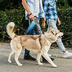 FJ bottle Sports Water Bottles with Straw, 20 oz Double Wall Vacuum Insulated Stainless Steel Bottle Keeps Hot and Cold, With Cleaning Brush, Good for Camping, Travel, Hiking, Ocean Blue