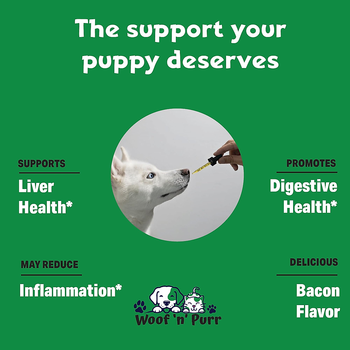 Milk Thistle for Dogs - Supports Liver and Kidney Health - Milk Thistle for Dogs Liver Support - Dog Milk Thistle - Dog Liver Support - Dog Liver Supplement - Milk Thistle Supplement for Dogs - 1 oz