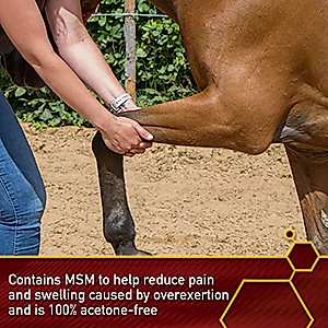 Vita Flex Thermaflex Liniment Gel for Sore Muscles and Joint Relief in Horses 12 Fluid Ounces