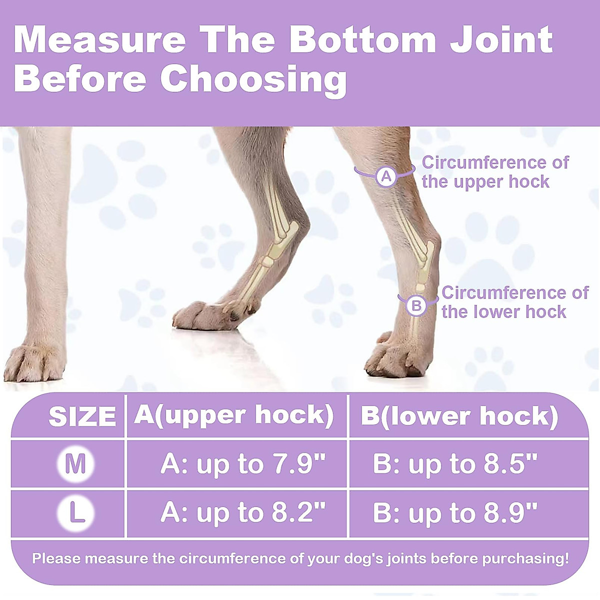 Dog Leg Brace for Back Leg Rear Leg Hock Ankle, Dog Hip Brace for Sprains, Torn Ligaments and Post-Op, Strong Support Help, Lightweight, Promotes Faster Recovery and Reduce Pain, 1 Pair, Medium