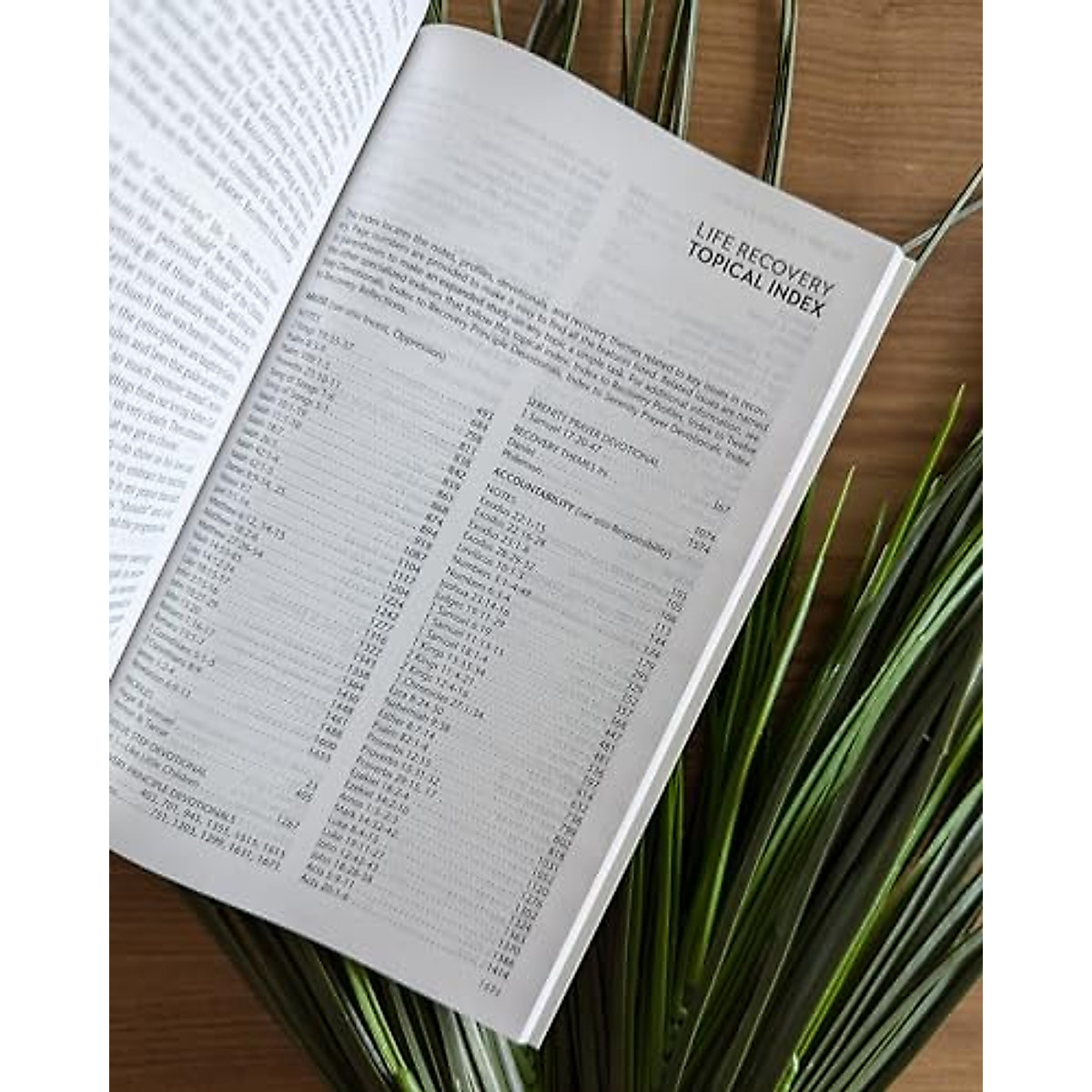 NLT Life Recovery Bible, Second Edition, Personal Size (Softcover): Addiction Bible Tied to 12 Steps of Recovery for Help with Drugs, Alcohol, Personal Struggles - With Meeting Guide