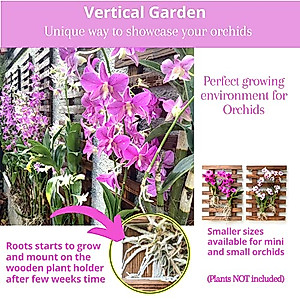 ShopLaLa Wall Planter - 2 Pack, Wooden Hanging Large Planters for Indoor Outdoor Plants, Live Vertical Garden, Plant Wall Mount Flower Pot Holder Hanger Stand Green Herb Wall Decor 47.2" (120cm)