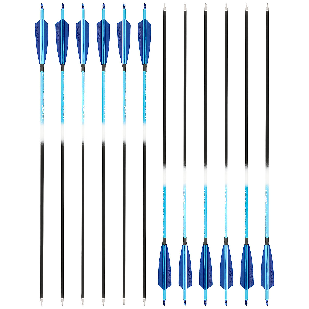 AMEYXGS 12Pcs Archery 30Inch Carbon Arrow Target Practice Hunting Arrow Spine 500 with 5inch Shield Turkey Feather Removable Tips for Traditional Recurve Compound Bow Longbow (Blue, 12)