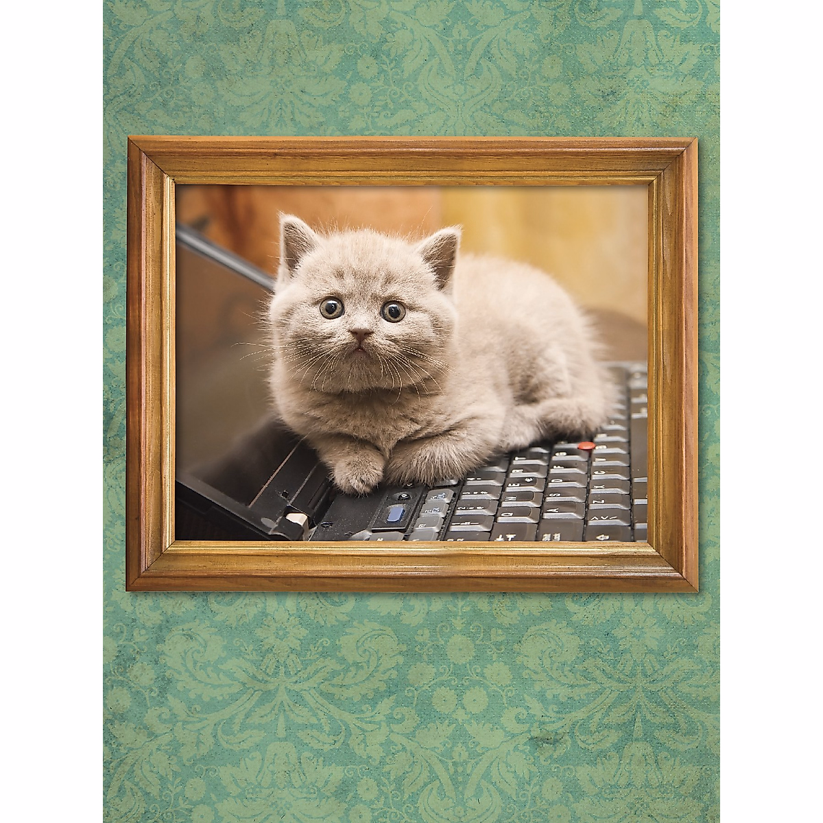 I Could Pee on This: And Other Poems by Cats (Gifts for Cat Lovers, Funny Cat Books for Cat Lovers)