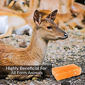 Himalayan Nature Licking Salt for Deer - 2 Pack