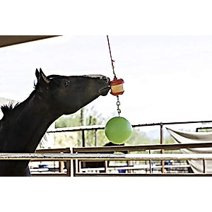 Horsemen's Pride Combo Horse Stall Toy: Apple Scented Jolly Ball and Apple Flavored Snack Holder (SS203)
