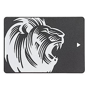 SSD, Ultra Low Power Consumption 2.5in SSD Universal Static Storage for Notebook Computers for Desktop