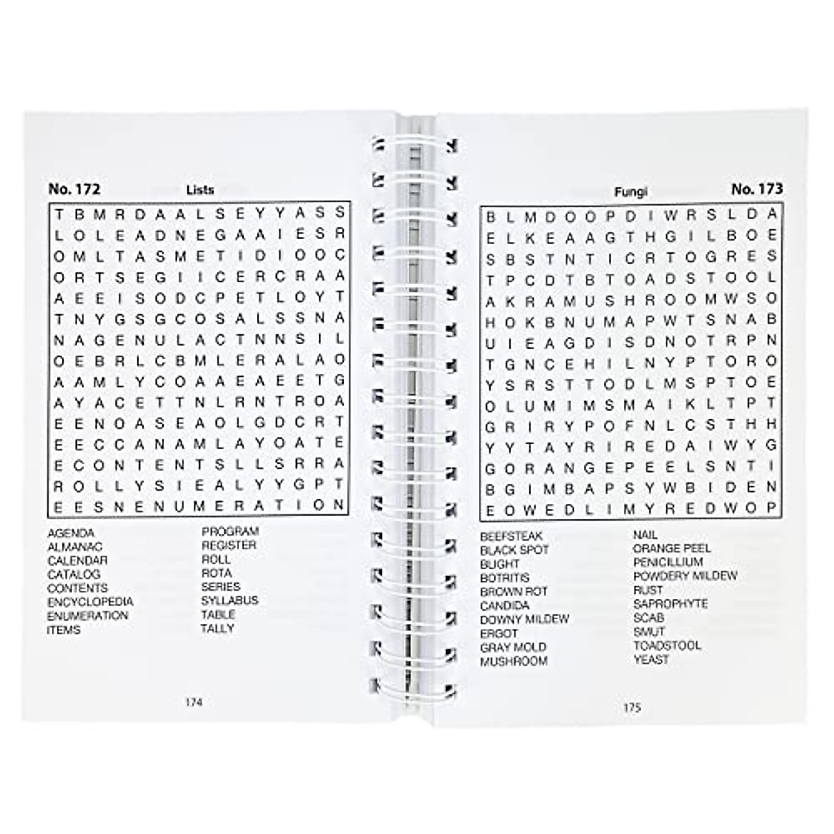 Word Search Puzzles (Big Book of Puzzles) (Brain Busters)