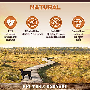 Gullet Sticks for Dogs, All Natural Single Ingredient Beef Jerky Chews, Healthy Beef Gullet Sticks, Naturally Occurring Glucosamine & Chondroitin, Can Help Joint Function for Puppies or Senior Dogs
