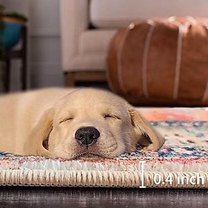 EARTHALL Boho Rug 2.6x10 Washable Persian Distressed Tribal Entry Throw Area Rug Faux Wool Soft Fuzzy Rugs Non-Slip Low-Pile Indoor Accent Rug for Front Entrance Kitchen Living Room