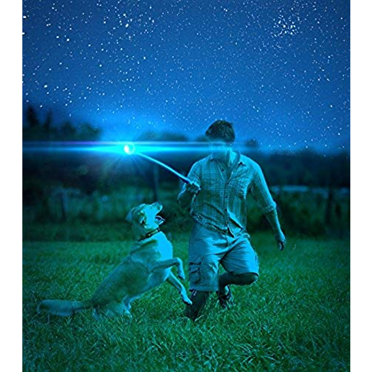 Chuckit Max Glow Ball Dog Toy, Medium (2.5 Inch Diameter) for Dogs 20-60 Lbs, Pack Of 2