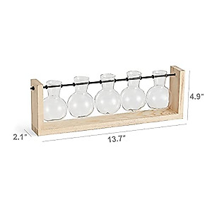 Mkono Plant Terrarium with Wooden Stand, Wall Hanging Glass Planter Desktop Plant Propagation Vase with Metal Swivel Retro Rack for Hydroponics Plants Home Office Decor (5 Bulb Vase)
