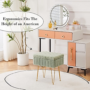 Wimarsbon Faux Mink Fur Storage Ottoman, Modern Soft Footstool, Storage Bench with Metal Legs, Vanity Seat, Fur Stool, Ottoman Coffee Table, Makeup Chair, Vanity Stools for Bedroom (Light Green)