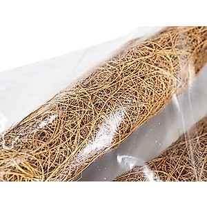 Josh's Frogs Flexible Natural Coco Tree Branches (Large)