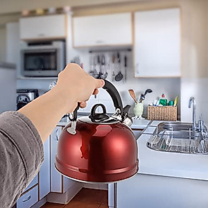 Stainless Steel Tea Pot Stainless Steel Tea Pot Tea Kettle Stovetop Whistling Kettle with Cool Grip Handle for for Kitchen Camping 3 Liter Whistling Stovetop Kettles