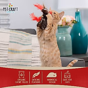 Pet Craft Supply Co. Kitty Condor Crazy Catnip Cuddler Funny Cuddling Chasing Hunting Irresistible Stimulating Soft Plush Boredom Relief Interactive Cat Toy with Realistic Feathers, All Breed Sizes