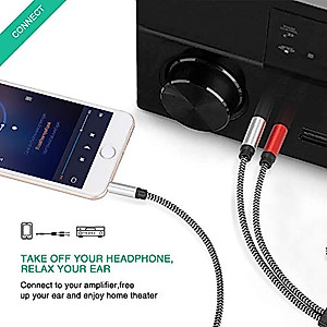 1/8 to 1/4 Stereo Cable, Morelecs 3.5mm to 1/4 Cable Nylon Braid 3.5mm 1/8" TRS to Dual 6.35mm 1/4" TS Mono Y Cable 10 Feet