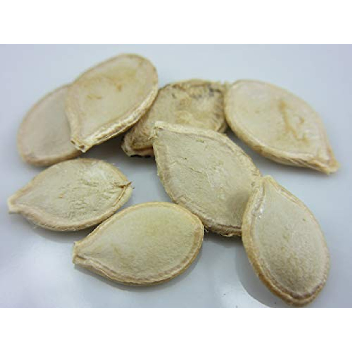 1292-Mexican White Squash (Calabacitas) Seeds by Robsrareandgiantseeds UPC0764425789925 Non-GMO,Organic,USA Grower,Bonsai,Showy,Container,Trellis,Hanging Basket,1292 Package of 7 Seeds