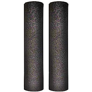 Replacement Carbon Filters for Bobble Classic, Infuse and Plus Bottles - 2 Pack (4 Total Filters)