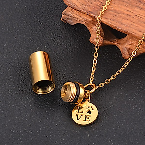 Lerpwige Stainless Steel Pet Urns Holder Necklace for Dogs Cats Pet Memorial NecklaceKeepsake Loss Pet Memory Urn Holder Jewelry Stainless Steel Pet Urn Necklace Cremation Jewelry for Pets