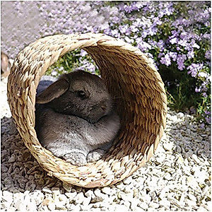 Rosewood Pet Large Hyacinth Tunnel Toy