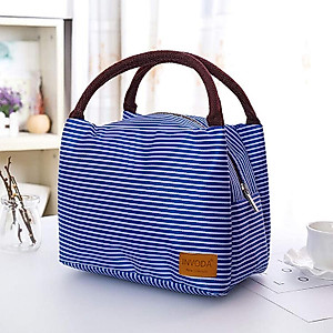 Lunch Bag 4PCS Lunch Organizer for office Lunch Cooler with Zip Closure Foldable Lunch Tote Bag, Reusable Lunch Holder Insulated Lunch Container Picnic Bag for Men Women