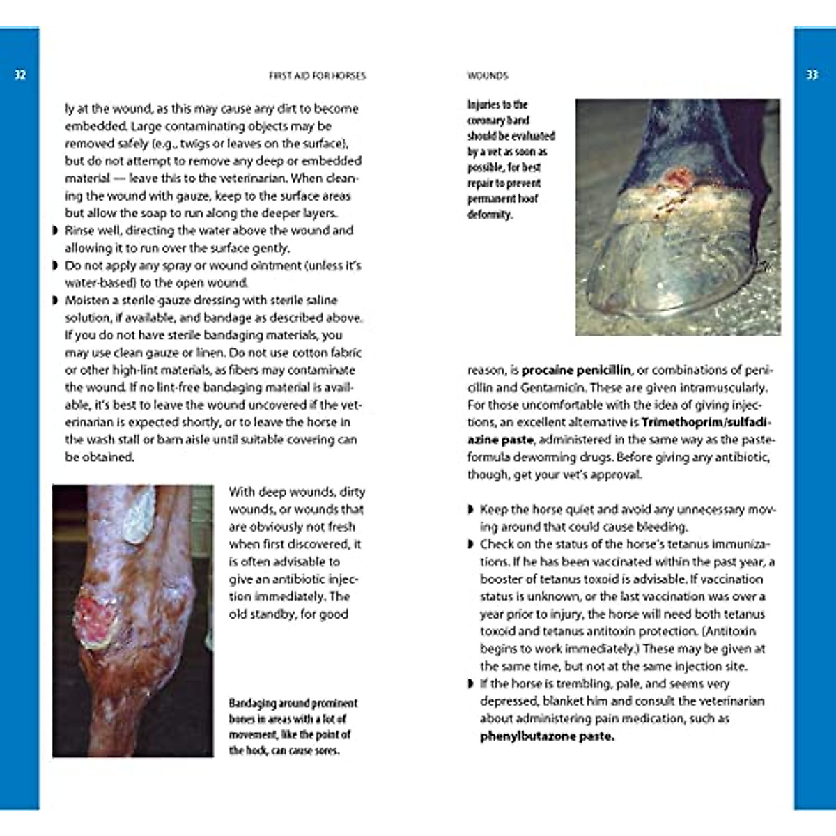 Dr. Kellon's Guide to First Aid for Horses: A Quick and Easy Reference to Conditions That Require Emergency Treatment