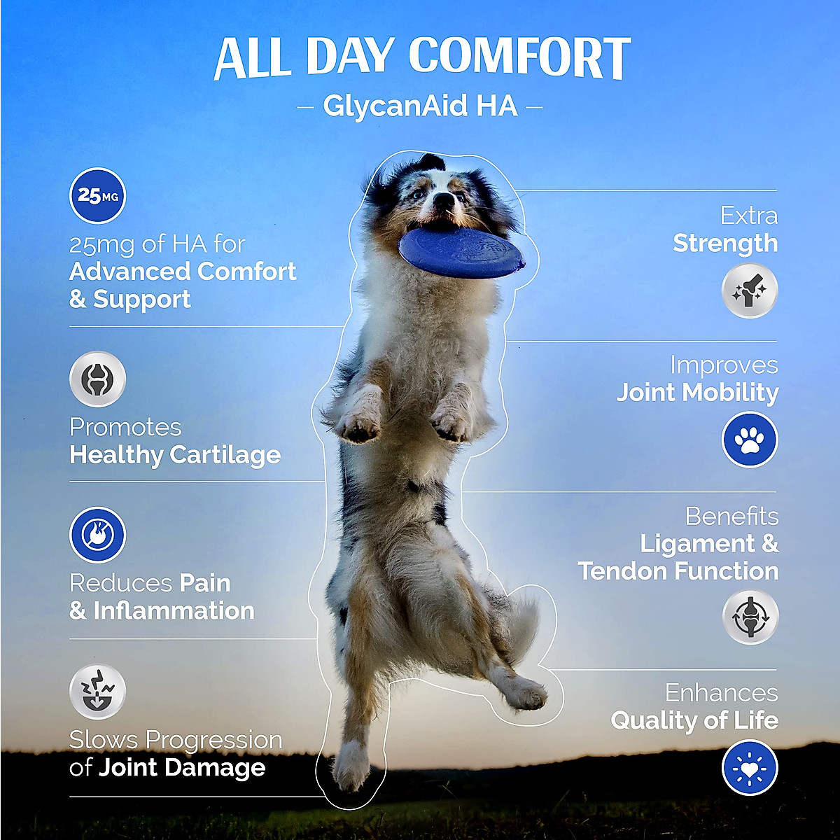 TopDog Health GlycanAid HA Advanced Joint Nutrition for Dogs (150 Chewable Tablets) Made in USA with USA Ingredients: Glucosamine HCL, Chondroitin, Hyaluronic Acid, MSM