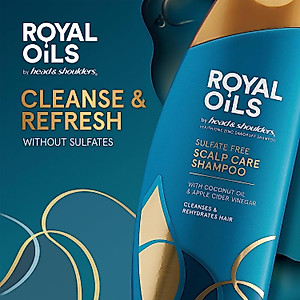 Head & Shoulders Royal Oils Moisturizing Shampoo, Anti Dandruff Treatment for Natural, Curly, and Coily Hair, with Coconut Oil and Apple Cider Vinegar, Sulfate, Paraben & Dye-Free, 12.8 Fl Oz