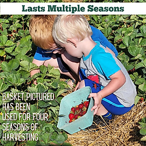 25 Pack Green Molded Pulp Fiber Berry/Produce 1.5 Quart Basket - Large Berry Basket