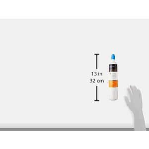 InSinkErator F-1000, 1 Count (Pack of 1), Chrome