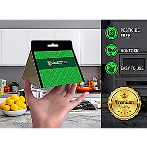 Maxguard Pantry Moth Traps (8 Pack) with Extra Strength Pheromones | Non-Toxic Sticky Glue Trap for Food and Cupboard Moths in Your Kitchen | Trap & Kill Pantry Pests |