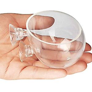 DGZZI Crystal Glass Aquatic Plant Pot Aquarium Aquatic Planter Holder with 3PCS Suction Cups for Fish Tank Aquarium Decoration