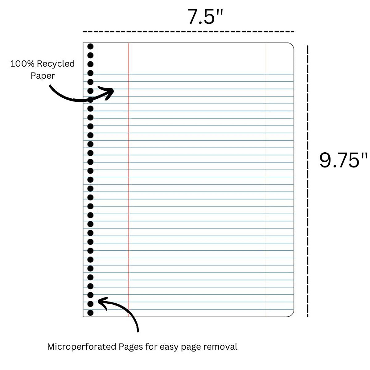 Decomposition Fairy Tale Forest College Ruled Spiral Notebook - 9.75 x 7.5 Journal with 160 Lined Pages - 100% Recycled Paper - Cute Notebooks for School Supplies, Home & Office - Made in USA